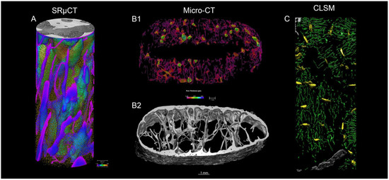 Forensic Sciences | An Open Access Journal from MDPI