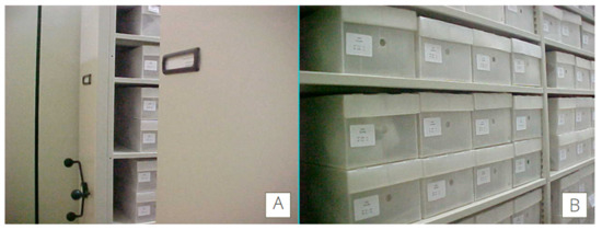 Forensic Sciences | An Open Access Journal from MDPI