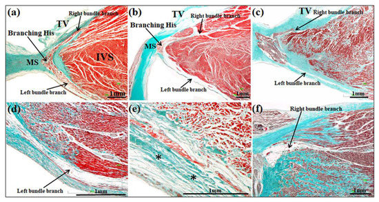 Forensic Sciences | An Open Access Journal from MDPI