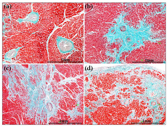 Forensic Sciences | An Open Access Journal from MDPI