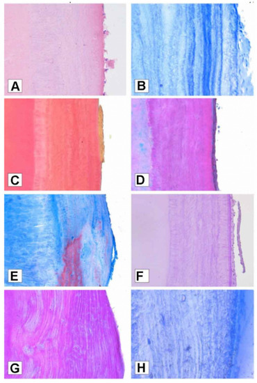Forensic Sciences | An Open Access Journal from MDPI