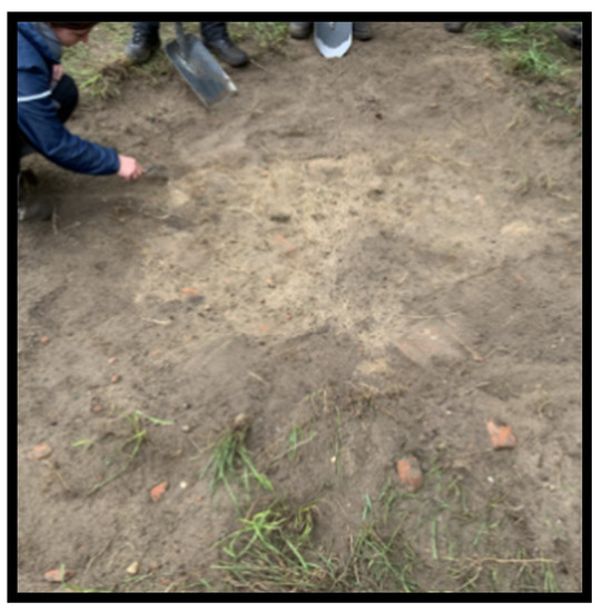 A Controlled Experiment to Test the Efficacy of Ground-Penetrating ...