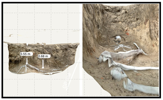 Forensic Sciences | An Open Access Journal from MDPI