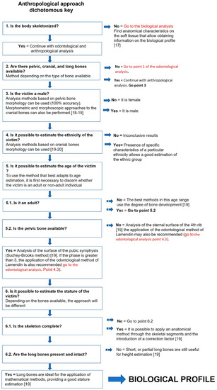 Involving Forensic Students in Integrative Learning—A Project Proposal