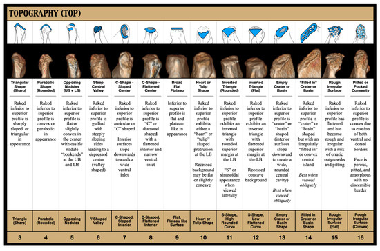 Forensic Sciences | Free Full-Text | The Composite Method: A Novel ...