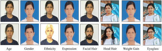 Video and Audio Deepfake Datasets and Open Issues in Deepfake ...