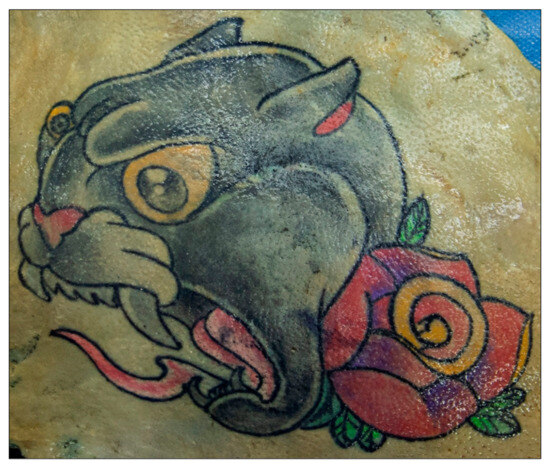 Human Identification in Mass Disasters: Analyzing Complex Tattoos in ...