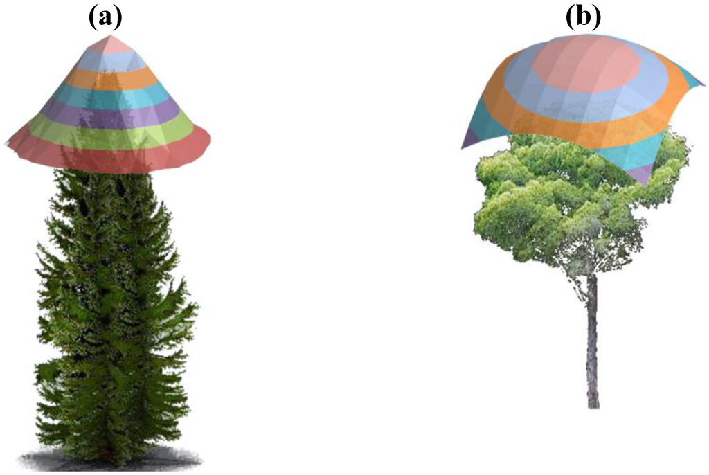 Assessing a Template Matching Approach for Tree Height and Position ...