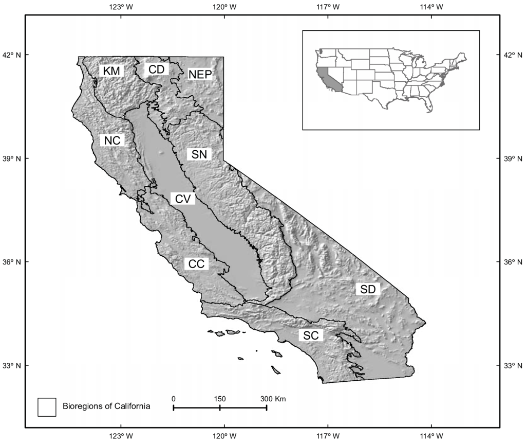 Spatial Characterization of Wildfire Orientation Patterns in California