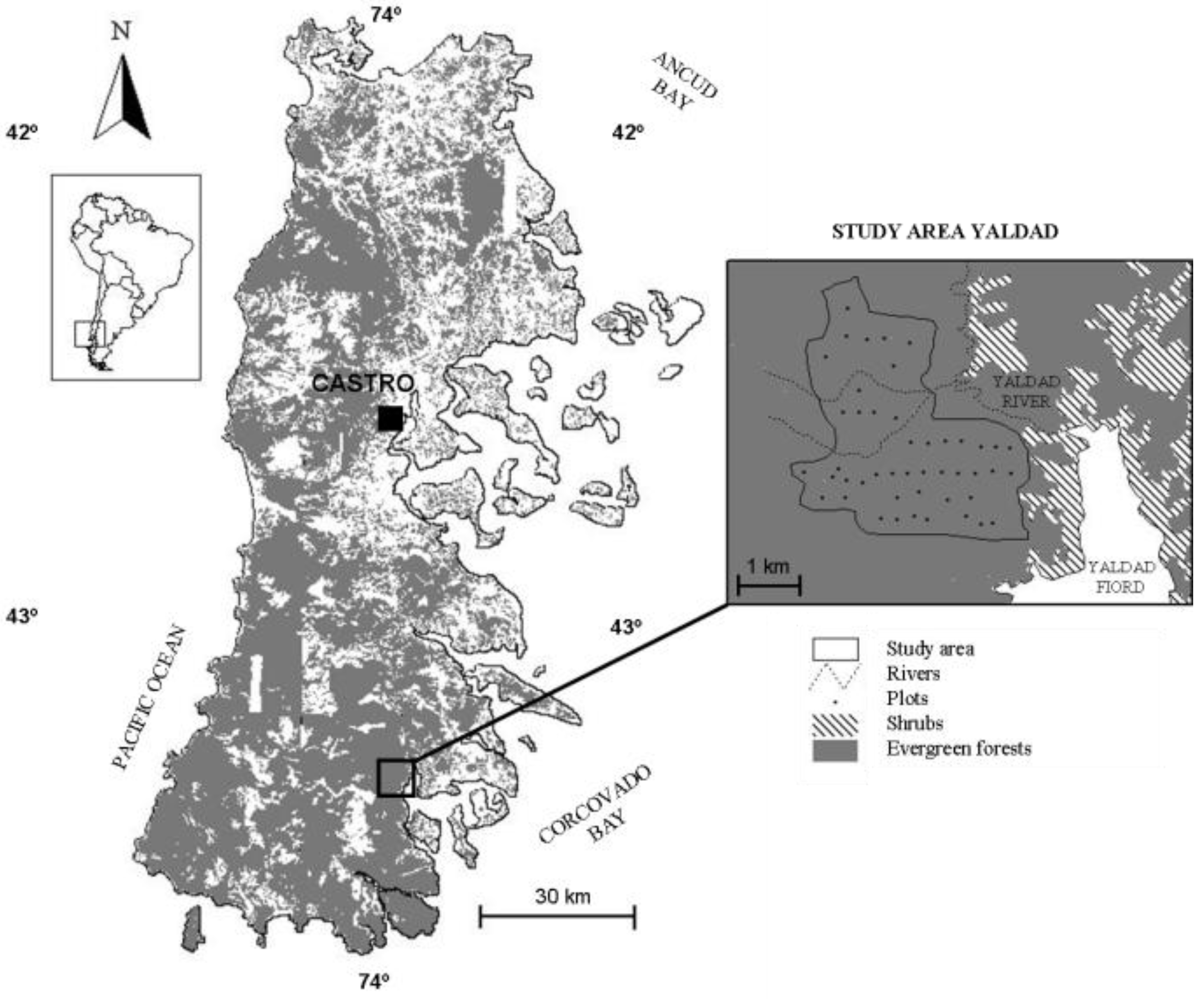 Forest Typification to Characterize the Structure and Composition of ...