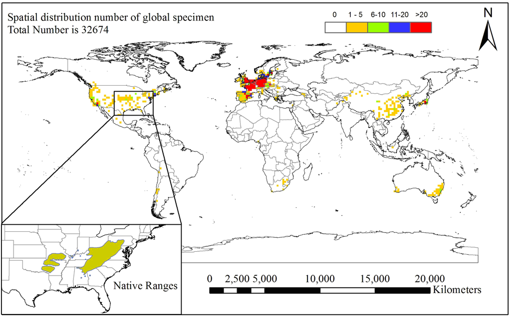 Mapping the Global Potential Geographical Distribution of Black Locust ...