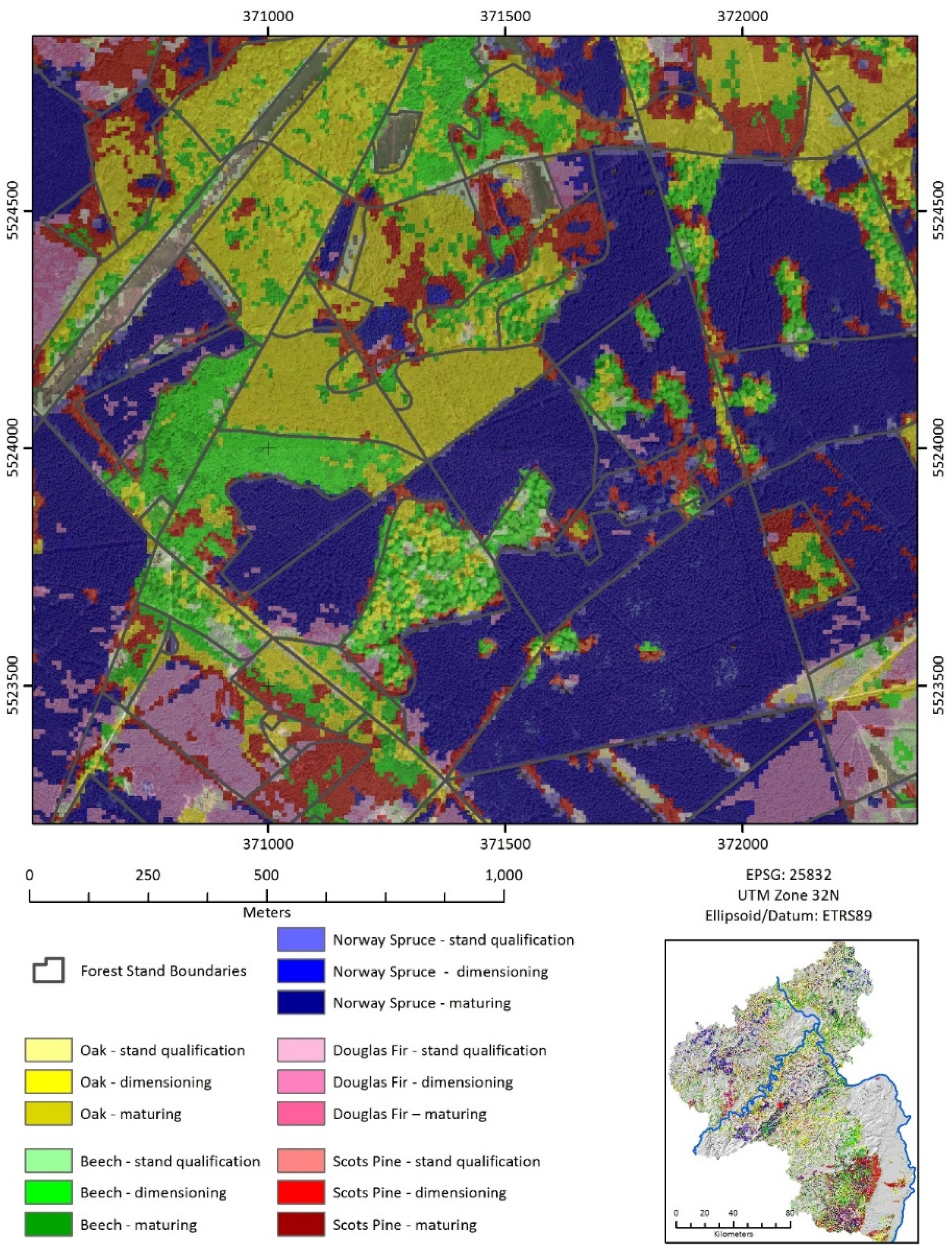 Satellite-Based Derivation of High-Resolution Forest Information Layers ...