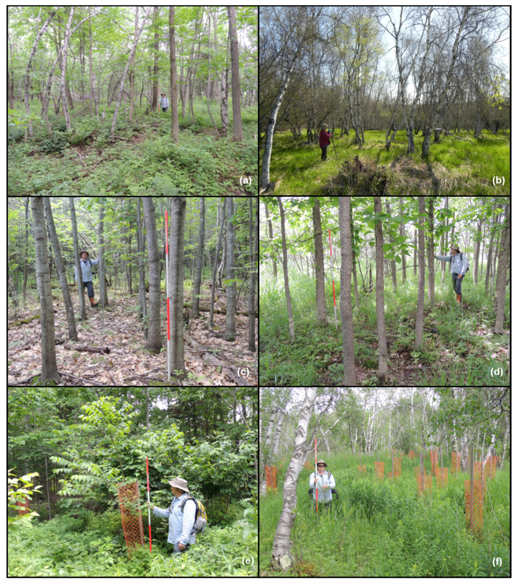 Forests Special Issue Ecosystem Services From Forests