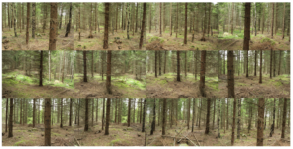 Estimation of Tree Stem Attributes Using Terrestrial Photogrammetry ...