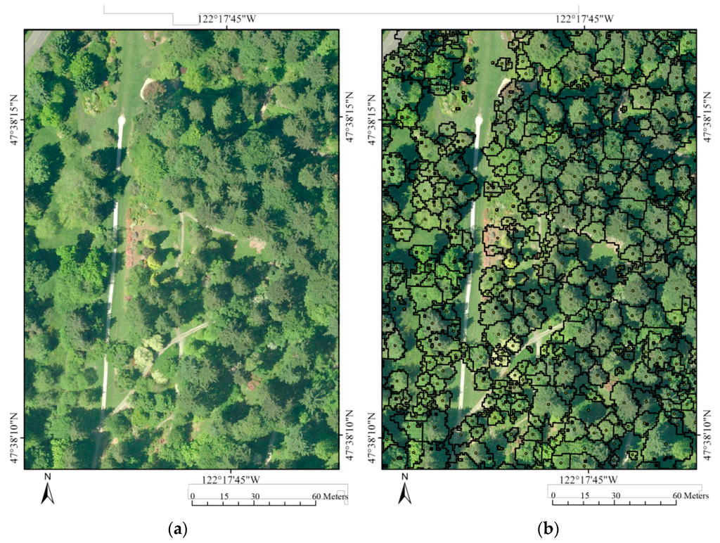 Forests Free Full Text Object Based Tree Species Classification In Urban Ecosystems Using