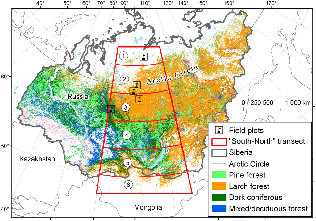 Wildfires Dynamics in Siberian Larch Forests