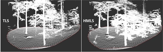 Forests | Free Full-Text | Forest Inventory with Terrestrial LiDAR: A ...