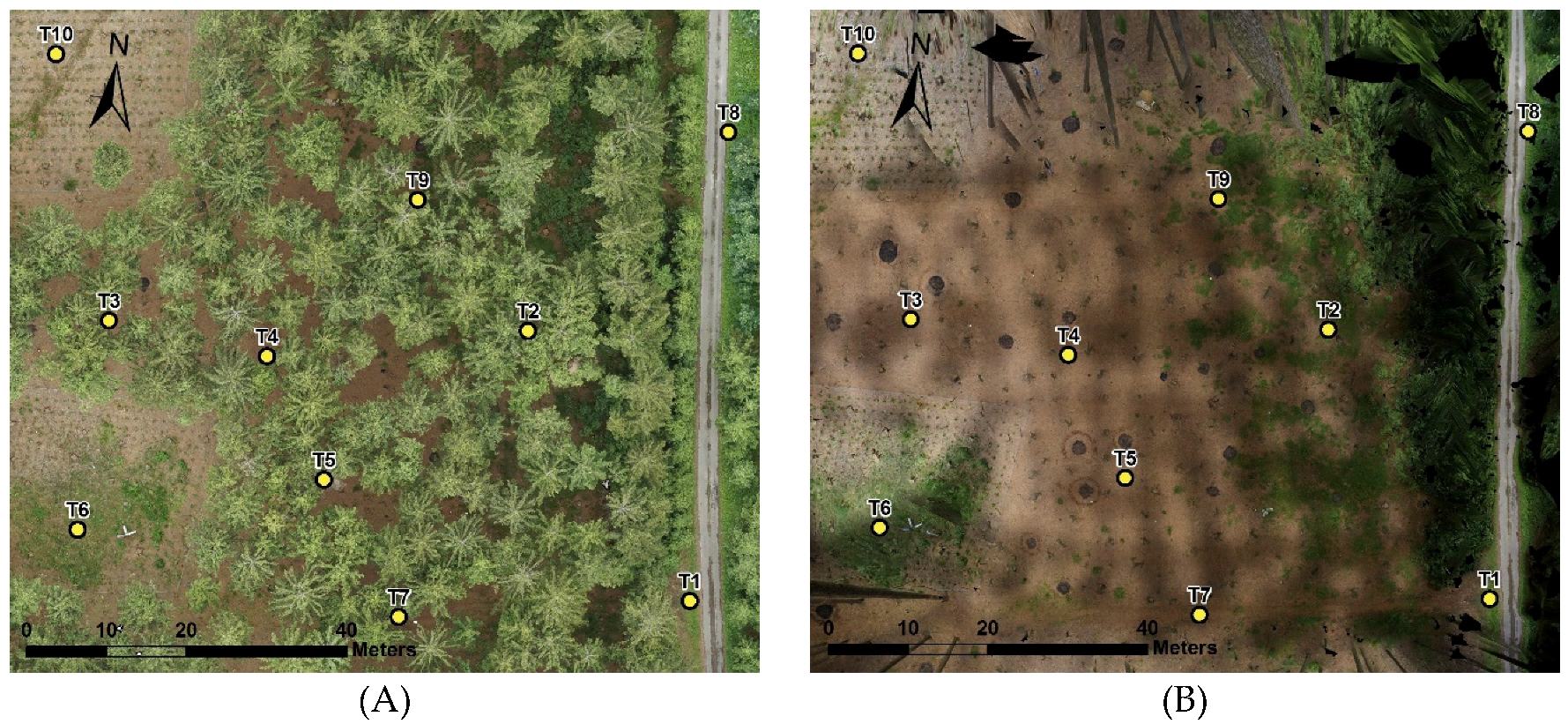 Forest Stand Inventory Based on Combined Aerial and Terrestrial Close ...