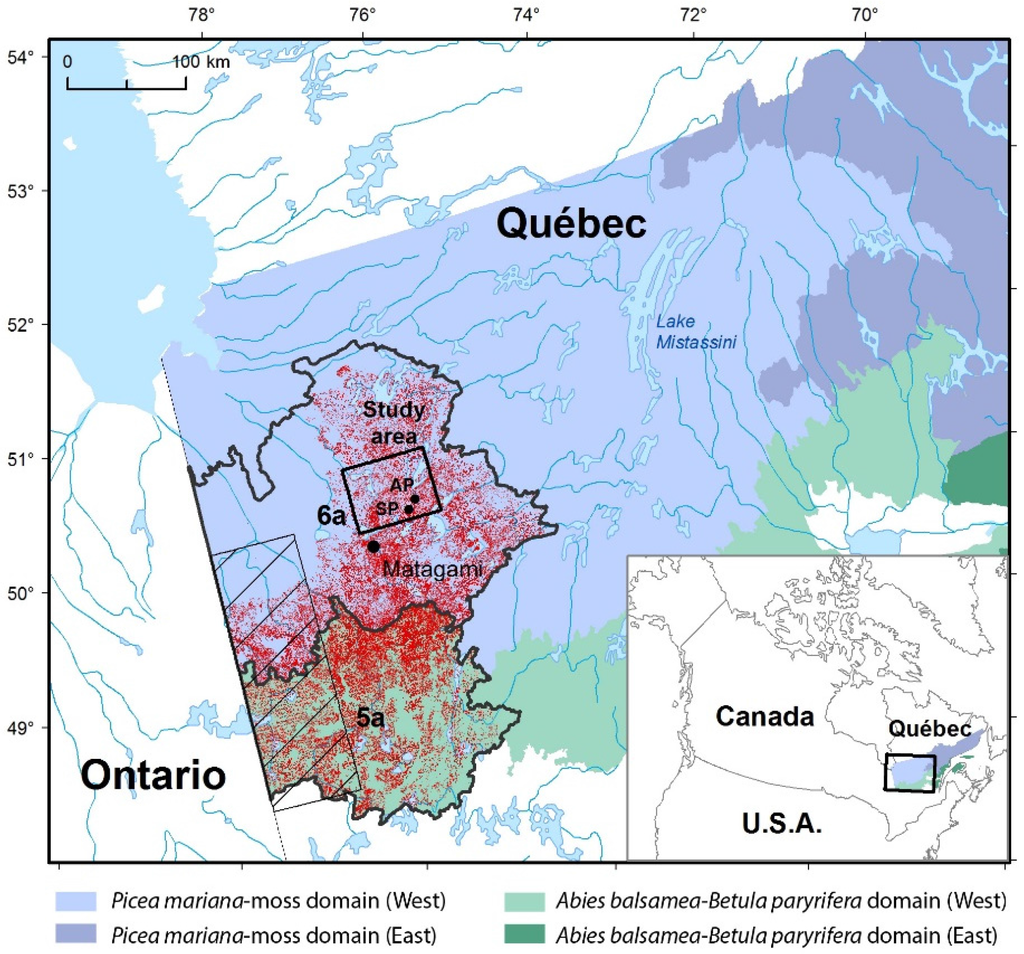 Fires of the Last Millennium Led to Landscapes Dominated by Early ...