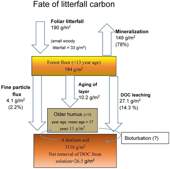 Forests | Special Issue : Decomposition of Forest Litter and Its Links ...