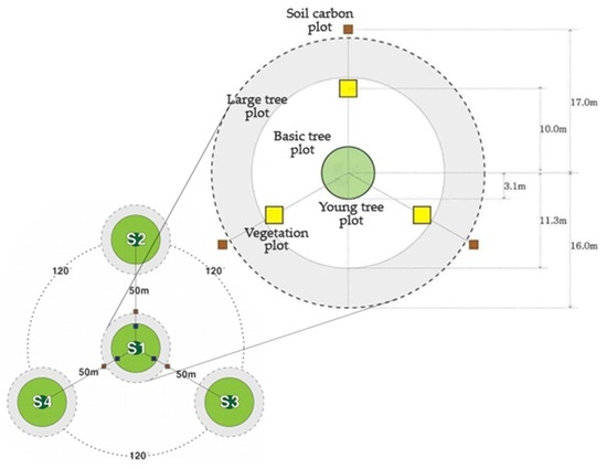 A Forest Growth Model for the Natural Broadleaved Forests in ...