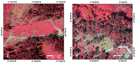 Windthrow Detection in European Forests with Very High-Resolution ...