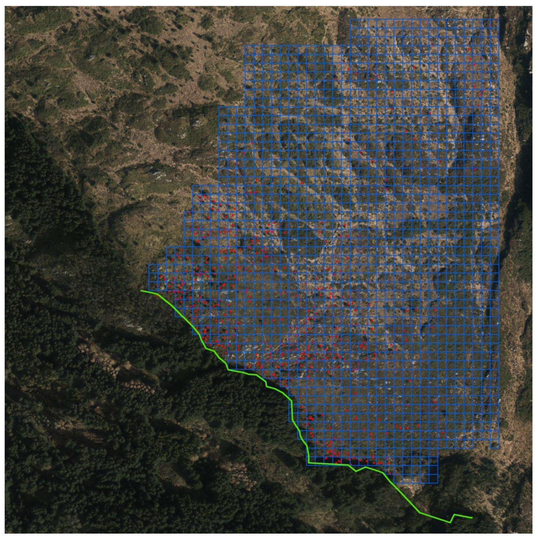 Spread of the Introduced Sitka Spruce (Picea sitchensis) in Coastal Norway