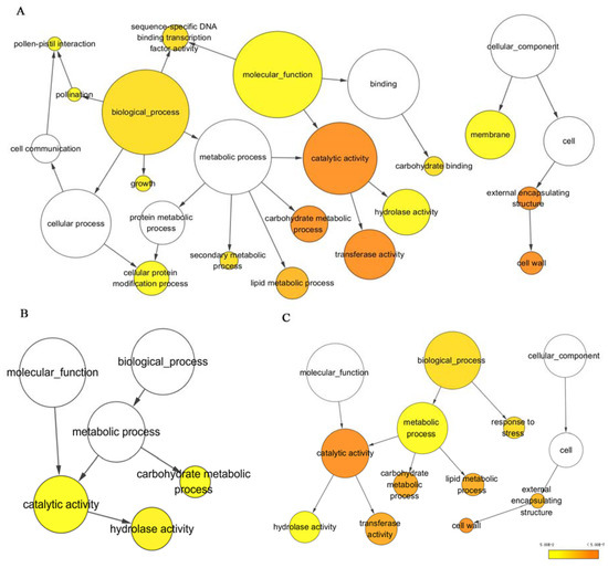 De Novo Transcriptome Characterization, Gene Expression De Novo Transcriptome Characterization, Gene Expression