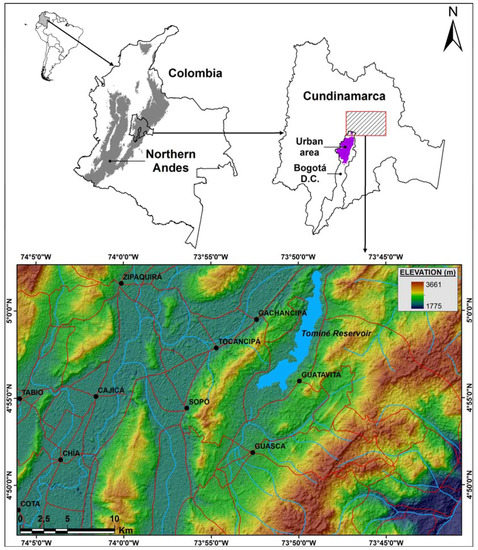 Secondary Forest and Shrubland Dynamics in a Highly Transformed ...