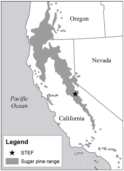 Forests | Free Full-Text | Contrasting Impacts of Climate and ...