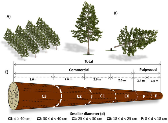 Forests | July 2017 - Browse Articles