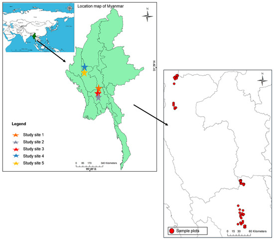 Species Diversity, Stand Structure, and Species Distribution across a ...