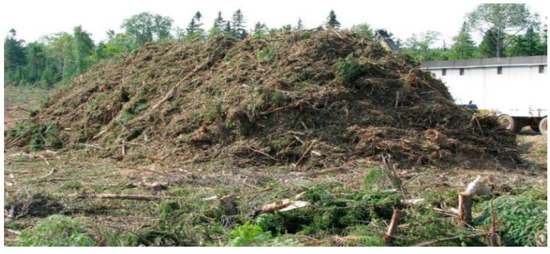 Forests | Free Full-Text | Can Biomass Quality Be Preserved through ...