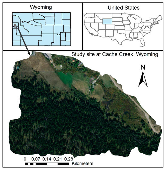 Individual Tree Detection from Unmanned Aerial Vehicle (UAV) Derived ...