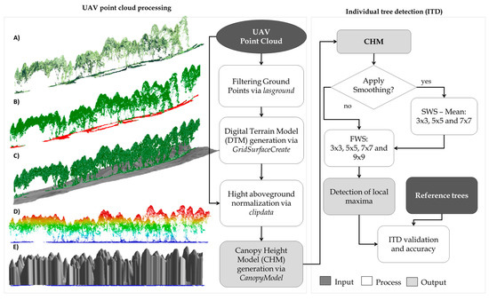 Individual Tree Detection from Unmanned Aerial Vehicle (UAV) Derived ...