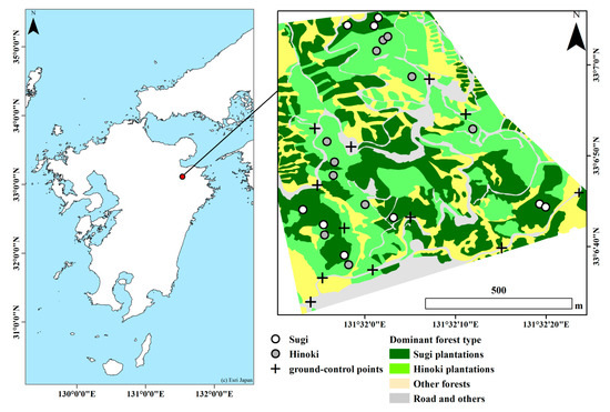 Forest Structure Estimation from a UAV-Based Photogrammetric Point ...