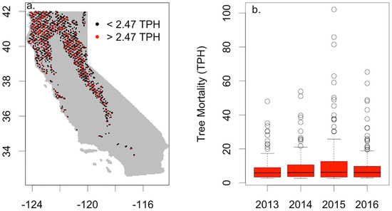 Forests | Free Full-Text | Monitoring Changes in Water Use Efficiency ...