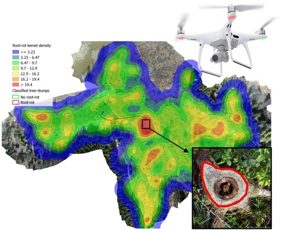 Forests | Free Full-Text | Tree-Stump Detection, Segmentation, Classification, and Measurement ...