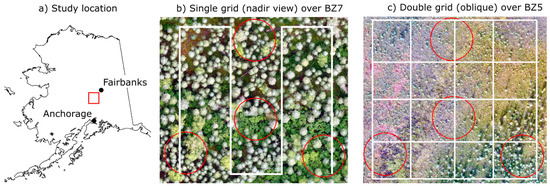 Quantifying Boreal Forest Structure and Composition Using UAV Structure from Motion