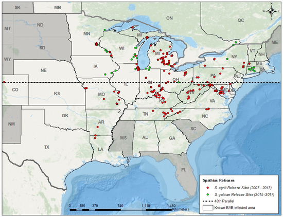 Progress and Challenges of Protecting North American Ash Trees from the ...