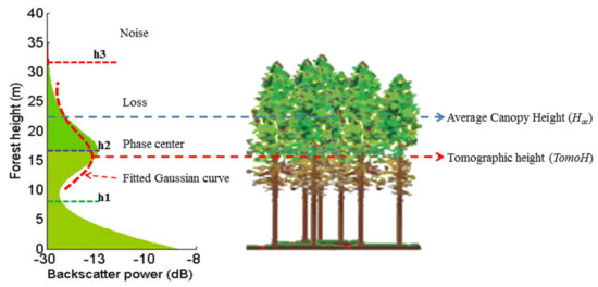 Forests | Special Issue : Remote Sensing of Leaf Area Index (LAI) and Other Vegetation Parameters