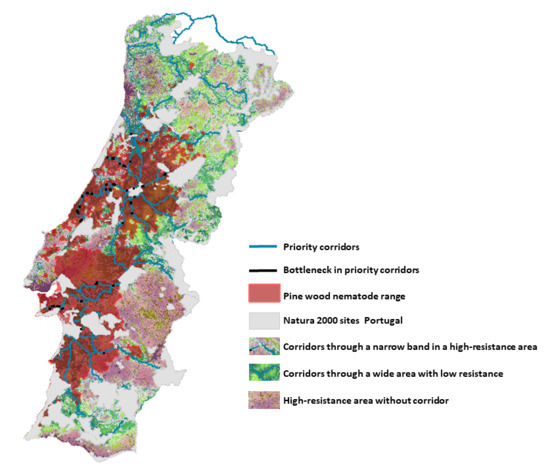 Forests | Free Full-Text | Invasive Species May Disrupt Protected Area ... Forests | Free Full-Text | Invasive Species May Disrupt Protected Area ...