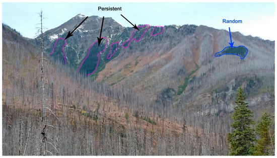 Effect of Topography on Persistent Fire Refugia of the Canadian Rocky ...