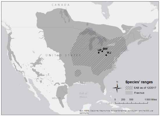 Forest Regeneration Following Emerald Ash Borer (Agrilus planipennis ...