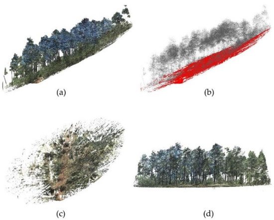 Estimating Individual Tree Height and Diameter at Breast Height (DBH ...