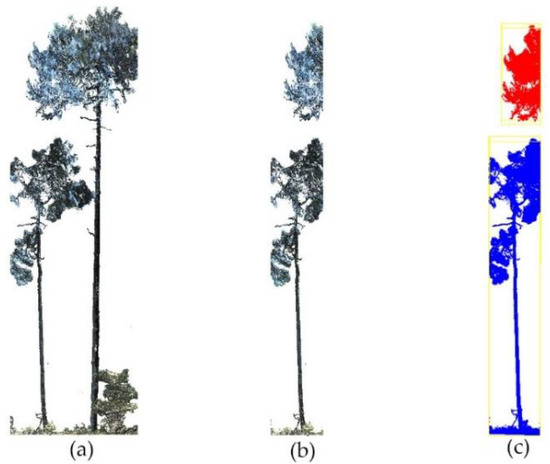 Estimating Individual Tree Height and Diameter at Breast Height (DBH ...