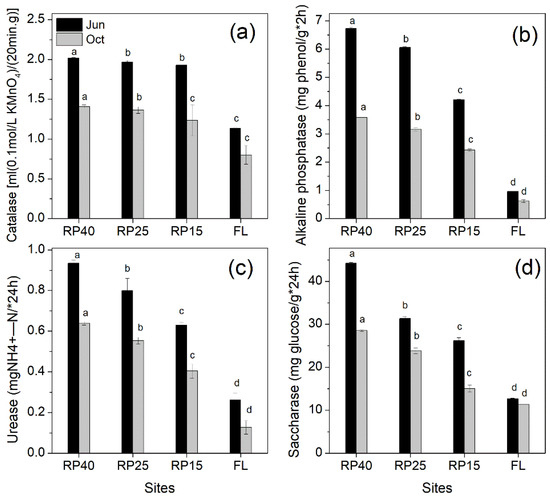 Forests | Free Full-Text | Understory Plants Regulate Soil Respiration ...