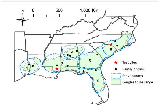 Forests | Special Issue : Longleaf Pine