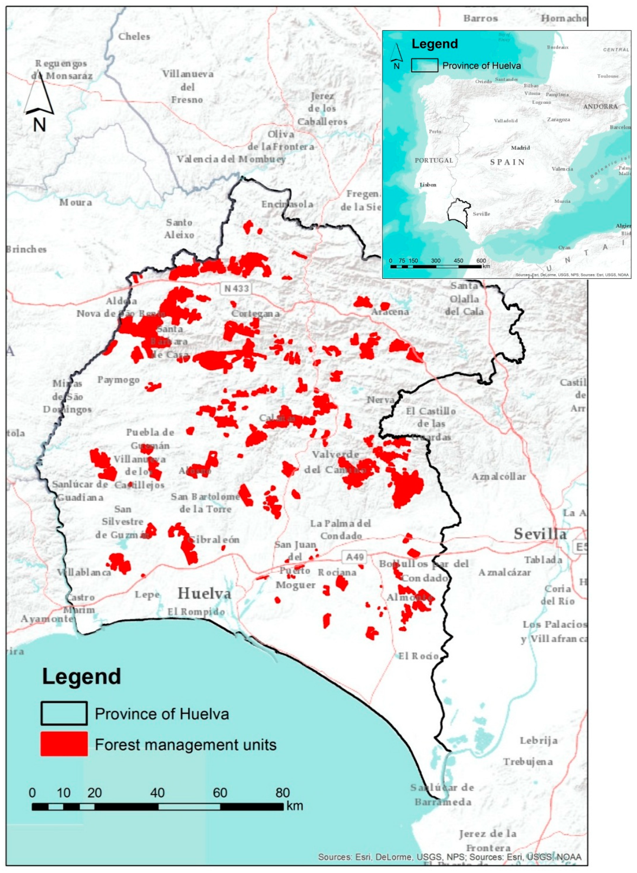 Assessment and Monitoring Protocols to Guarantee the Maintenance of ...