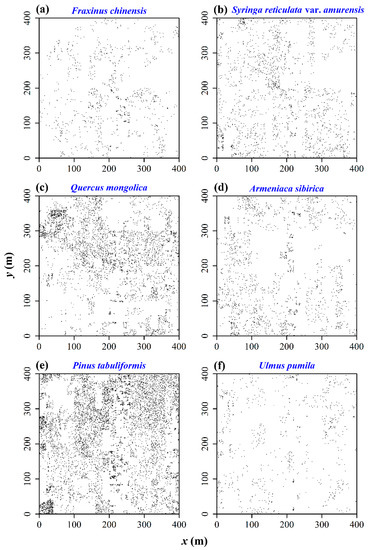 Spatial Segregation Facilitates the Coexistence of Tree Species in ...